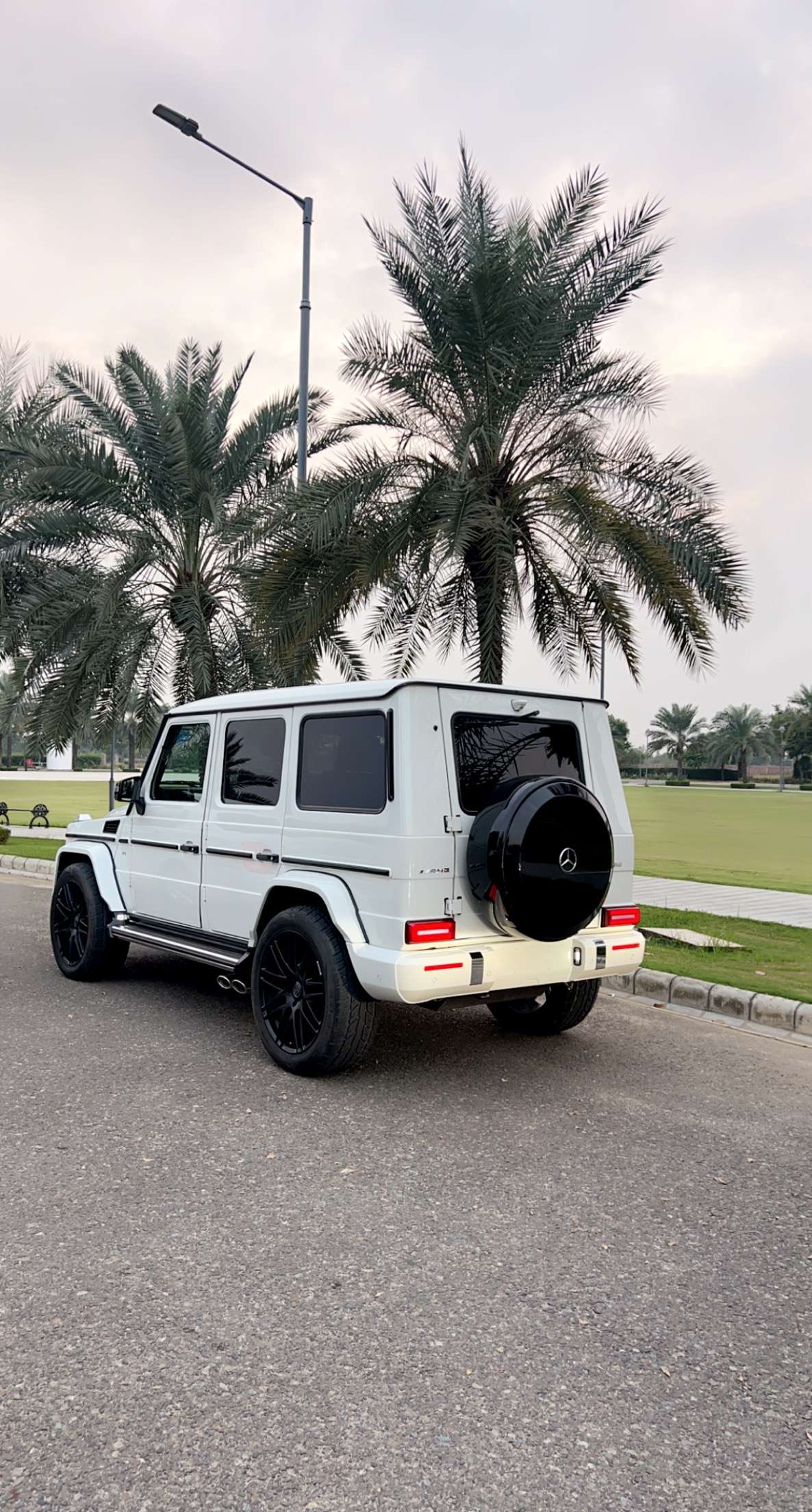 NO. 1 Luxury Wedding Cars in Ludhiana | Jalandhar | Royal Limos